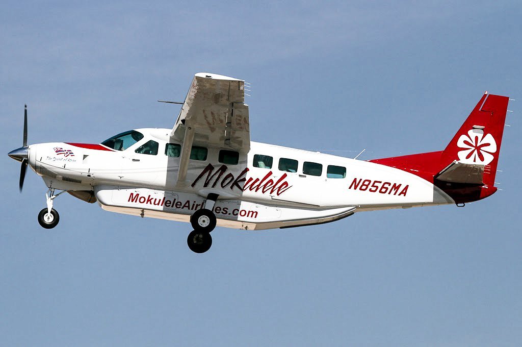 Mokulele Airlines Logo Store – Mokulele Store