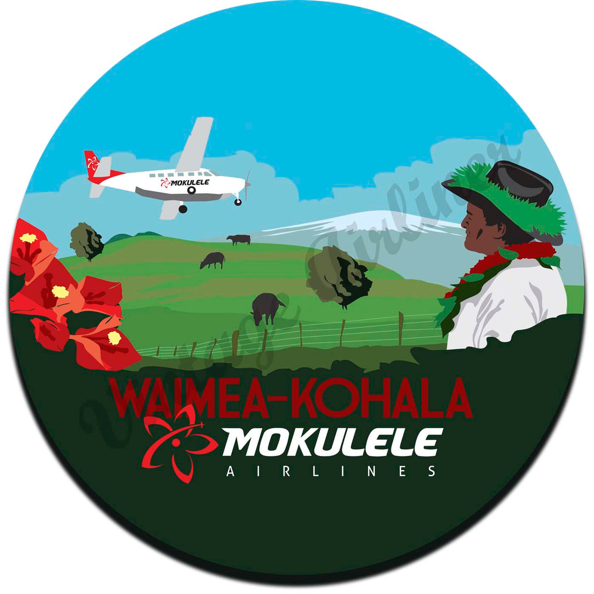 Mokulele Airlines illustration of Waimea-Kohala round coaster ...